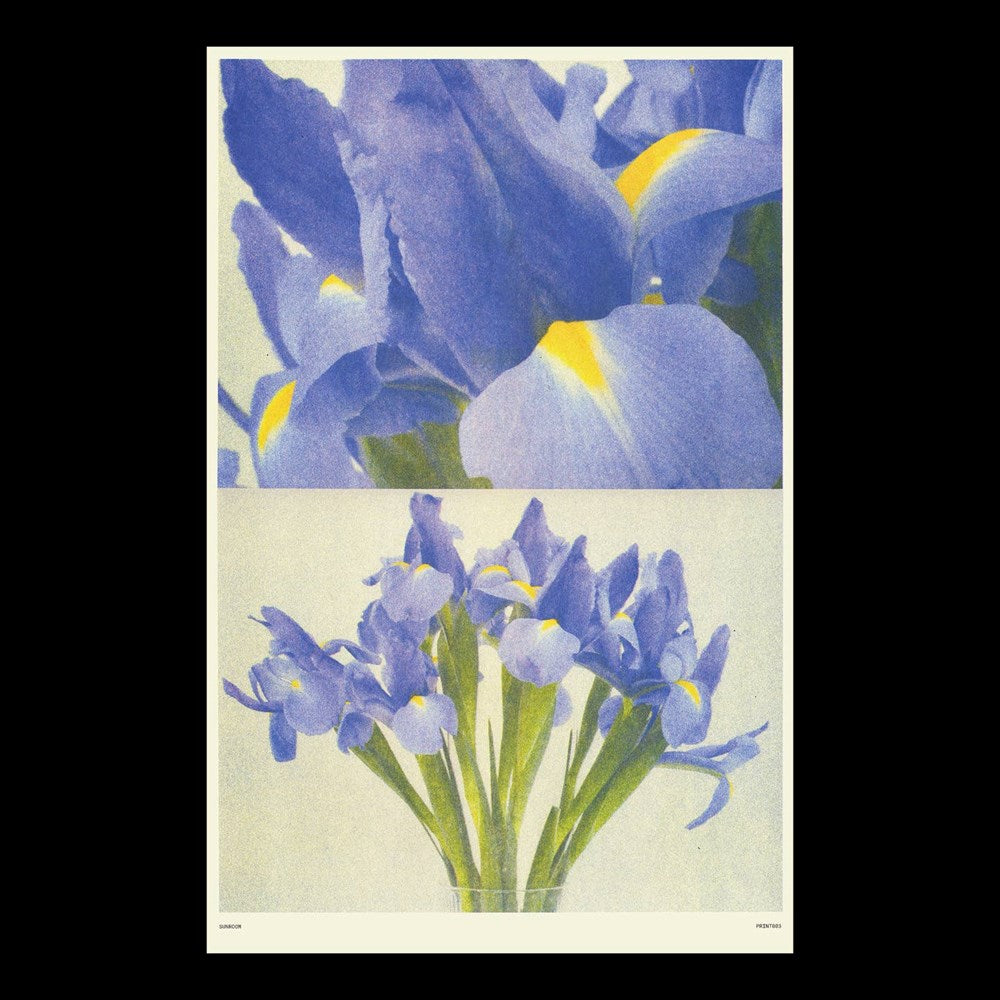 Iris Risograph Print - A3 – Hands