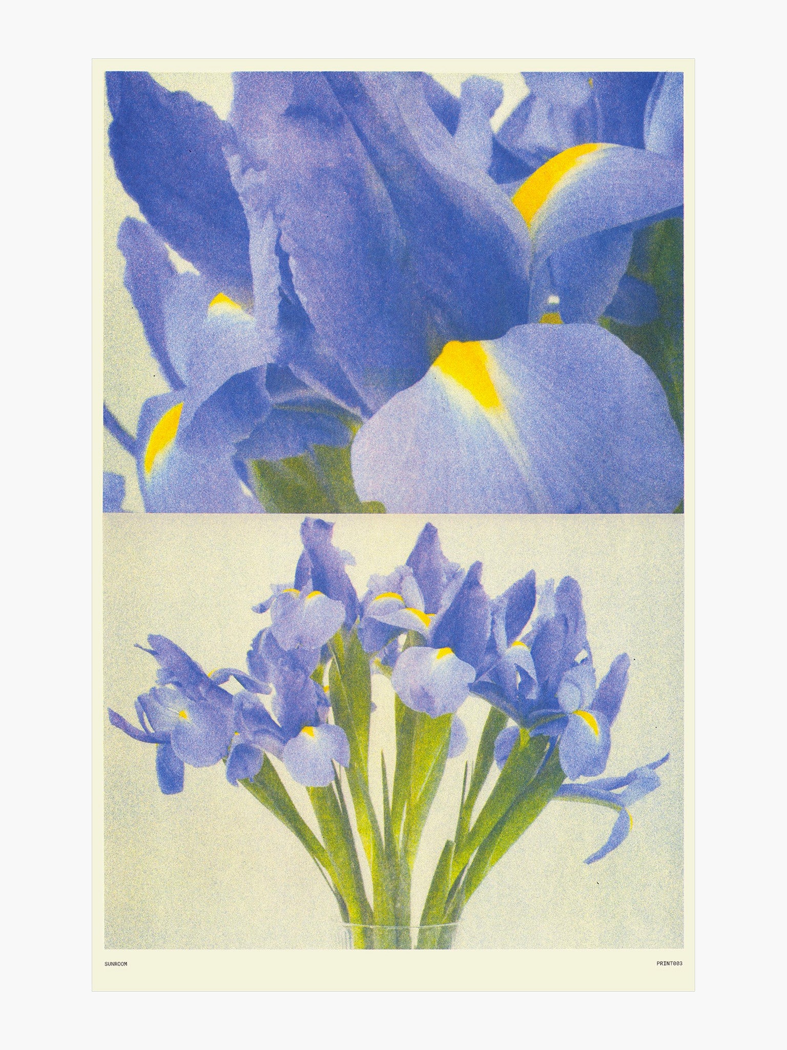 Iris - Risograph Print (A3) – Hands